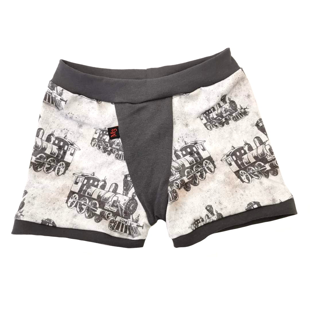 Boxer 8 ans promenade en train – Creationsm3